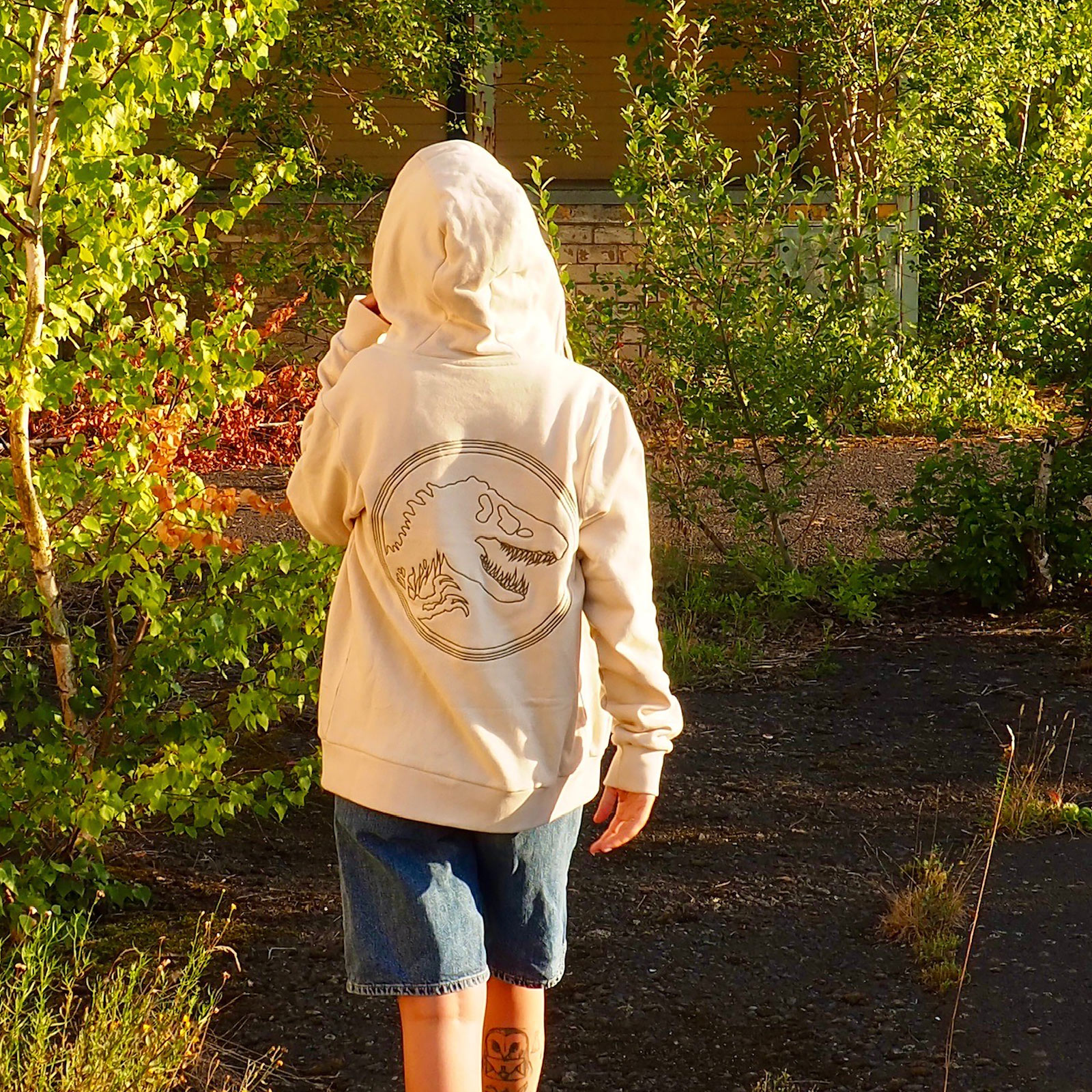 Dorman Replacement Fan Dorman A/C Condenser Fan Assembly - Replacement ...