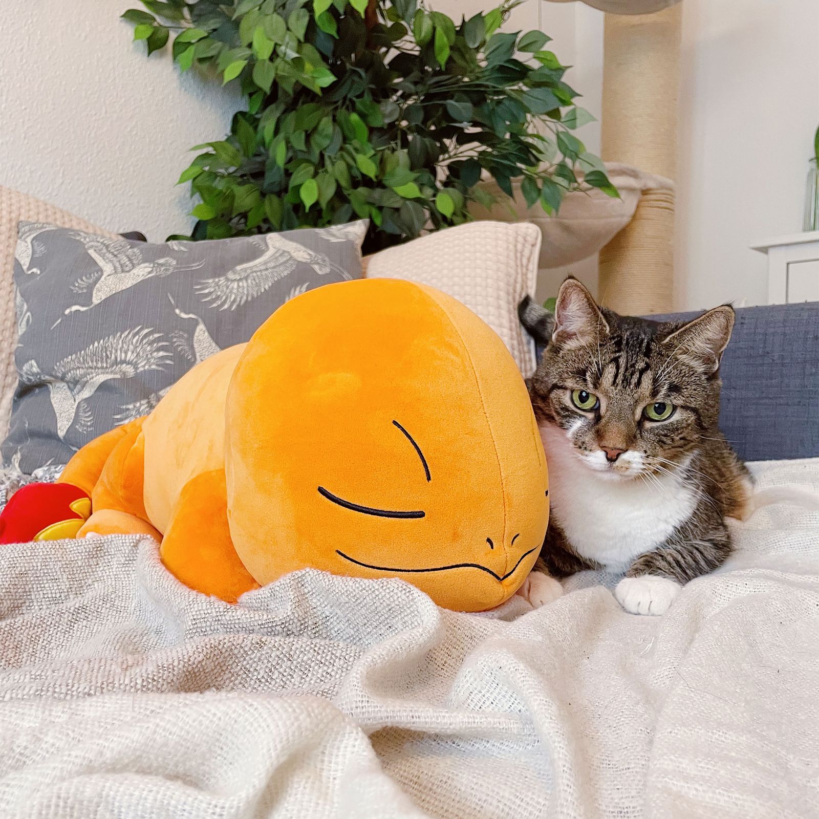 Pokemon - Sleeping Charmander Plush Figure | Elbenwald