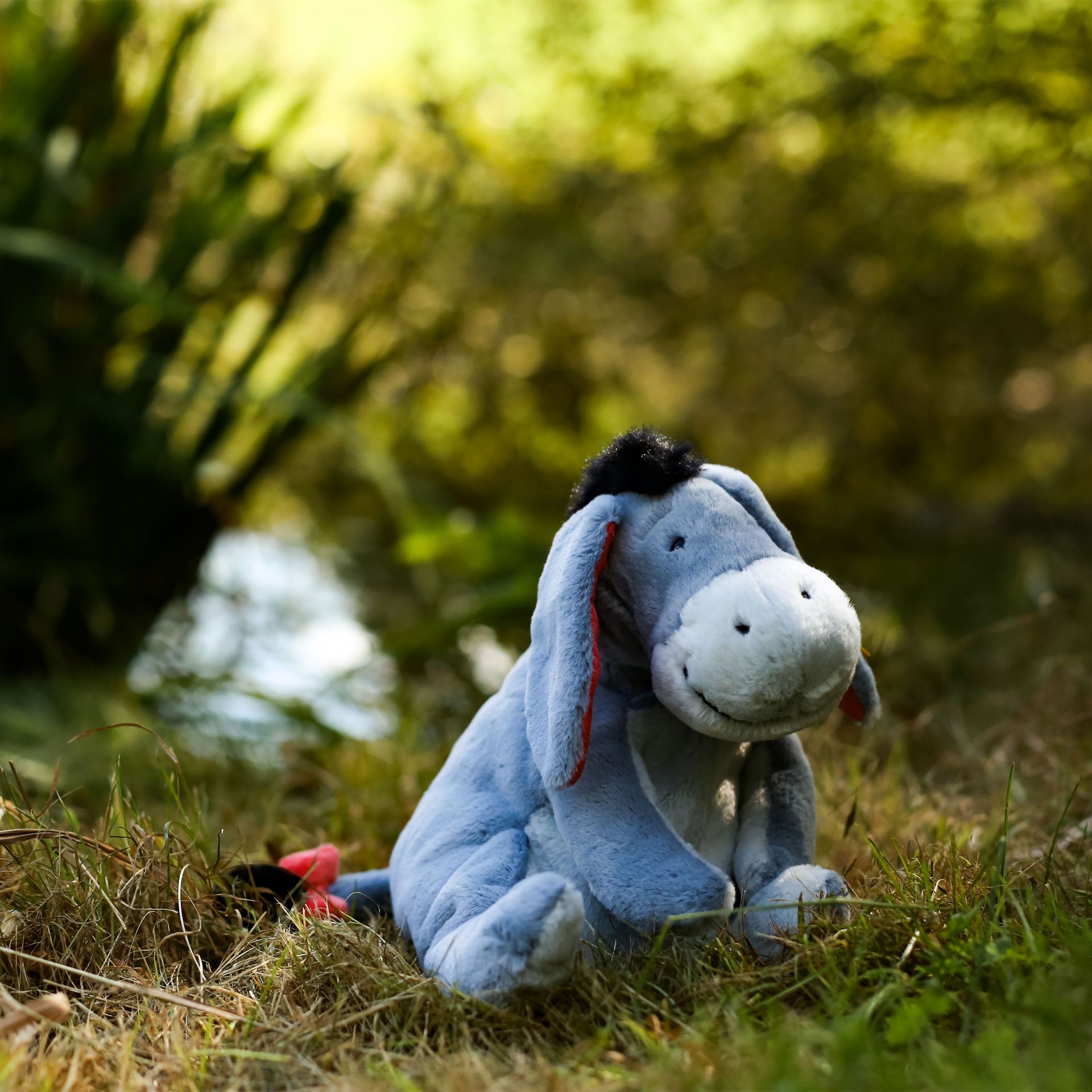 Winnie the Pooh - Eeyore Collector's Figure by Steiff | Elbenwald