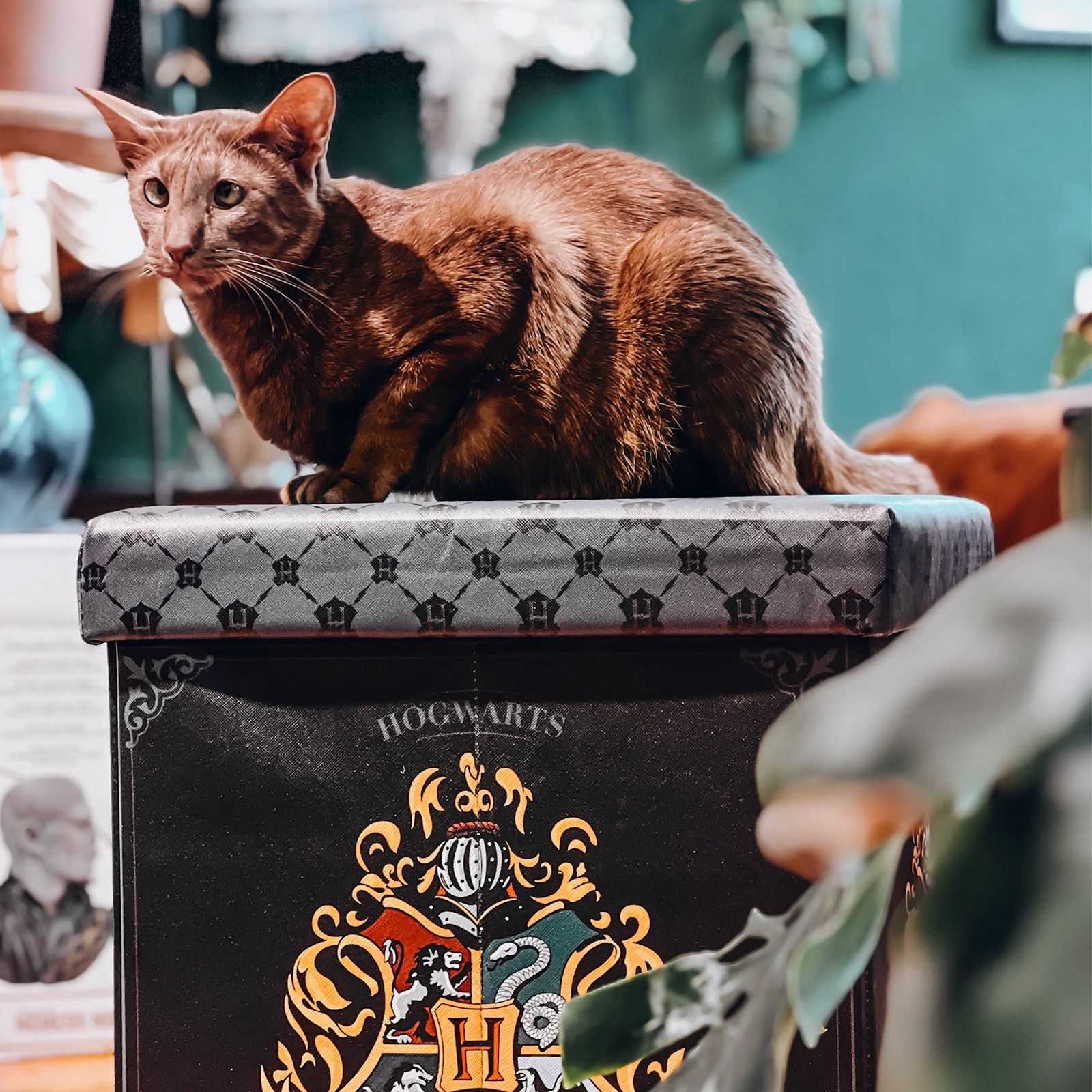 Harry Potter - Hogwarts Stool with Storage | Elbenwald