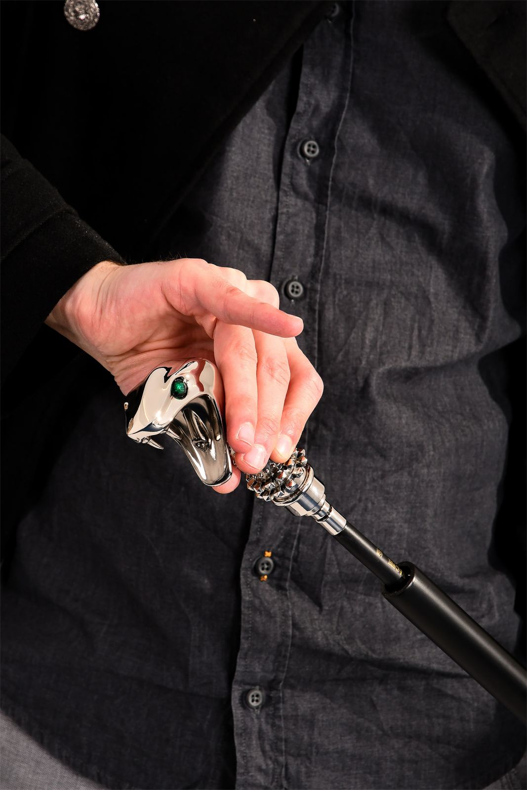 Lucius Malfoy's Walking Stick | Harry Potter | Elbenwald
