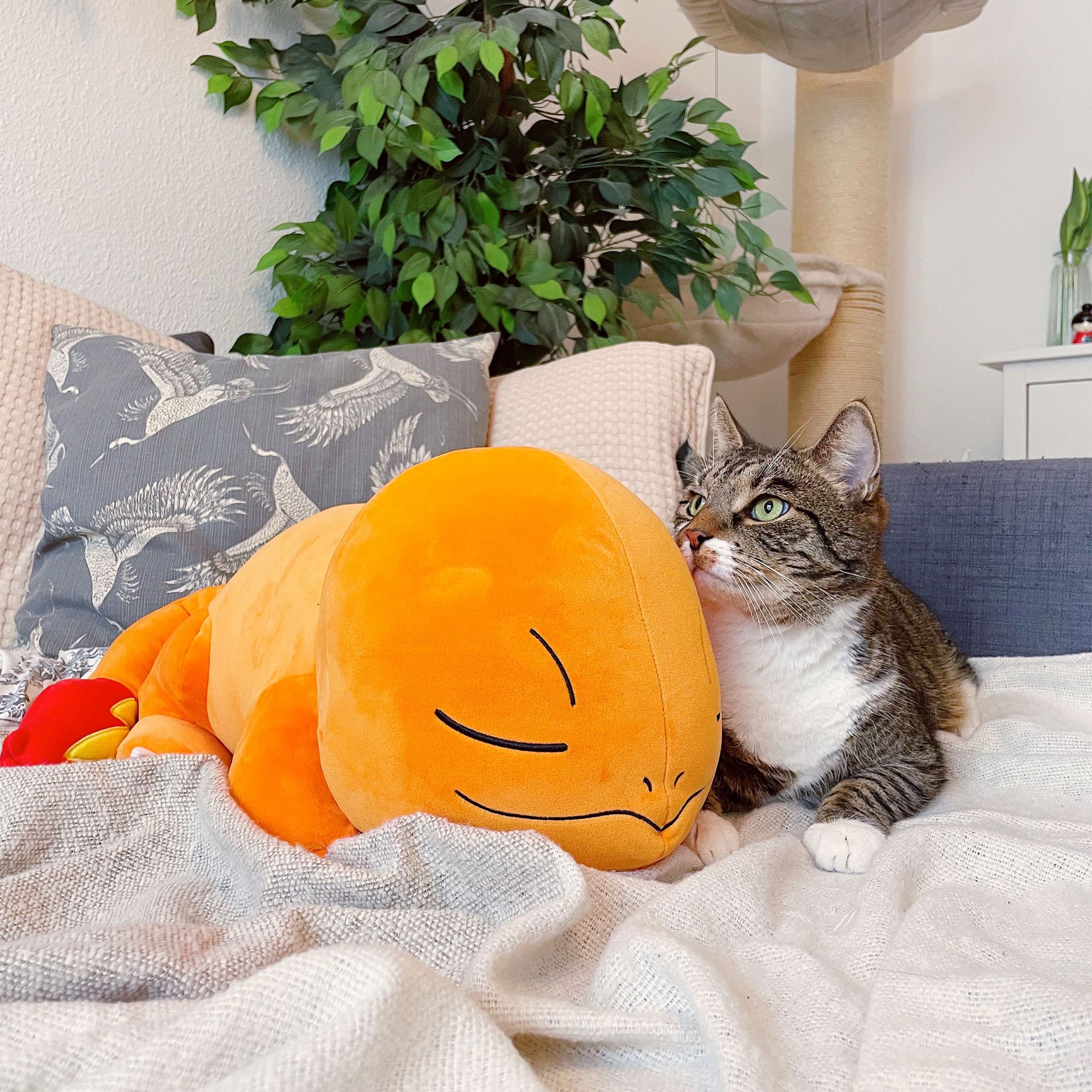 Pokemon - Sleeping Charmander Plush Figure | Elbenwald