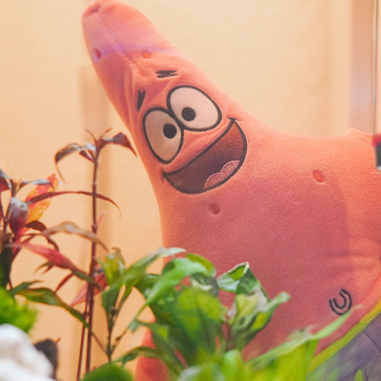 SpongeBob - Patrick Plush Figure | Elbenwald