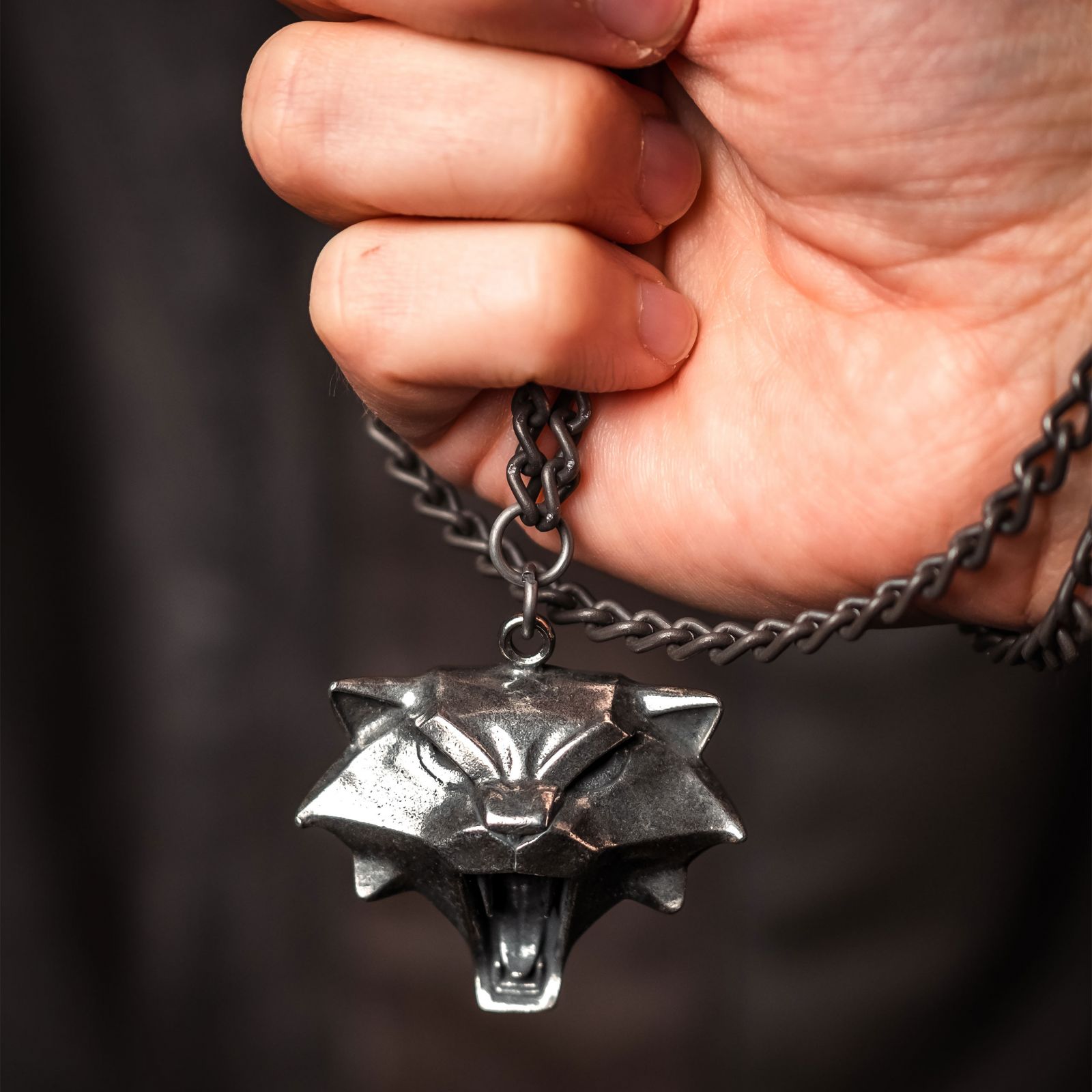 Witcher - Cat School Medallion Necklace | The Witcher | Elbenwald